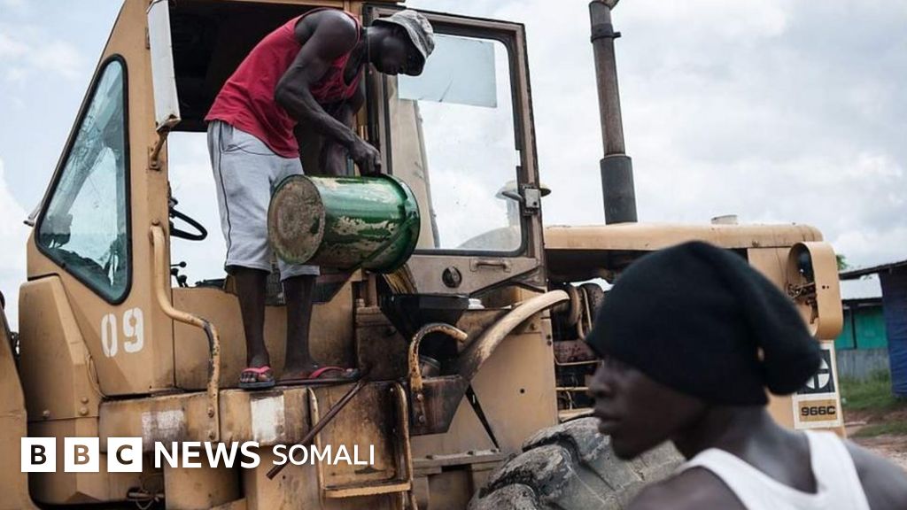 Shirkado lagu eedeeyay in ay Afrika ka gadaan shidaal sumaysan - BBC ...