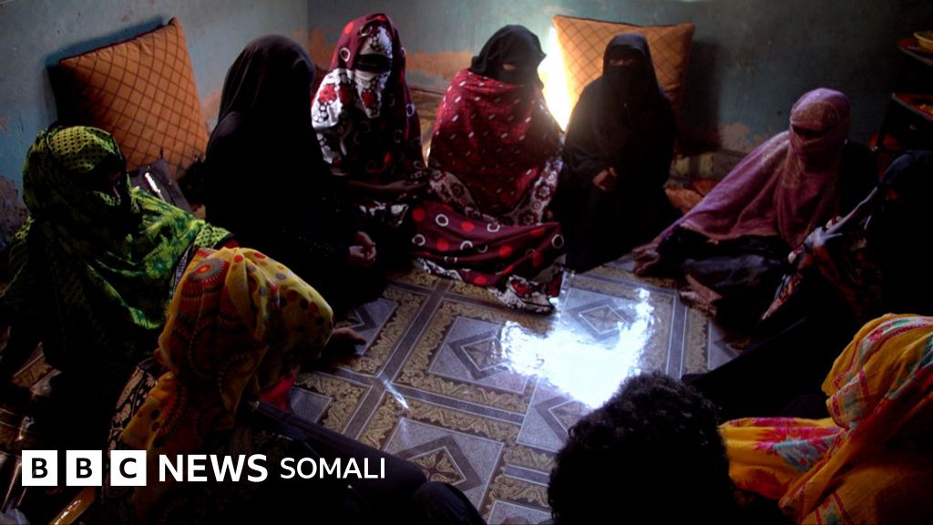 Al-Shabaab oo adoonsata dumar si ay ugu galmoodaan - BBC News Somali