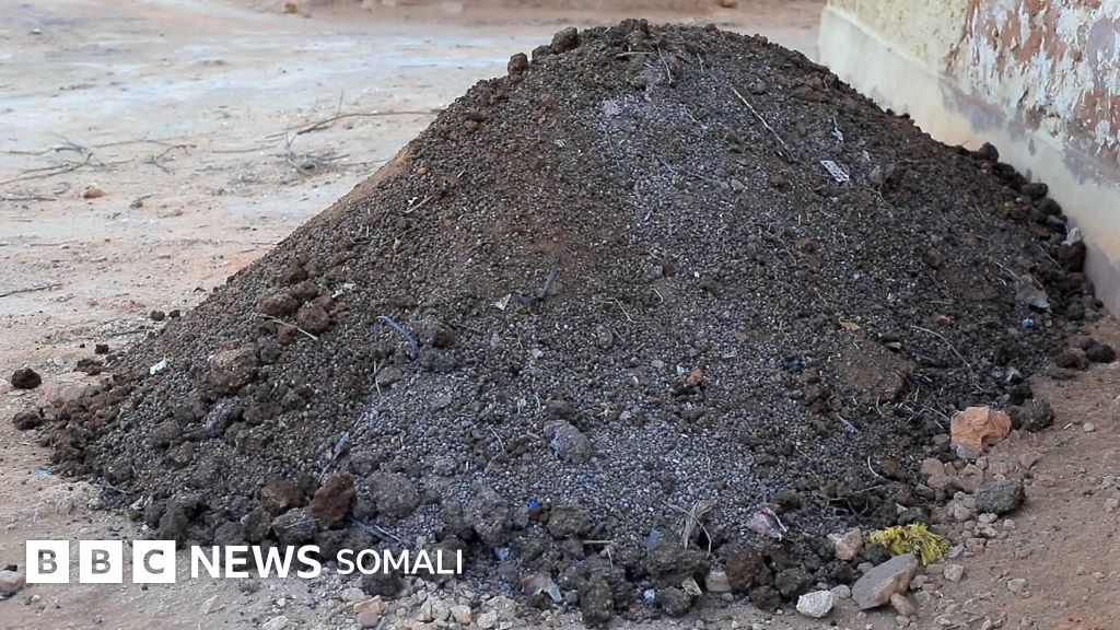 Gaalkacyo: Maxaa digada ariga doolar loogu kala gadanayaa magaaladaan ...