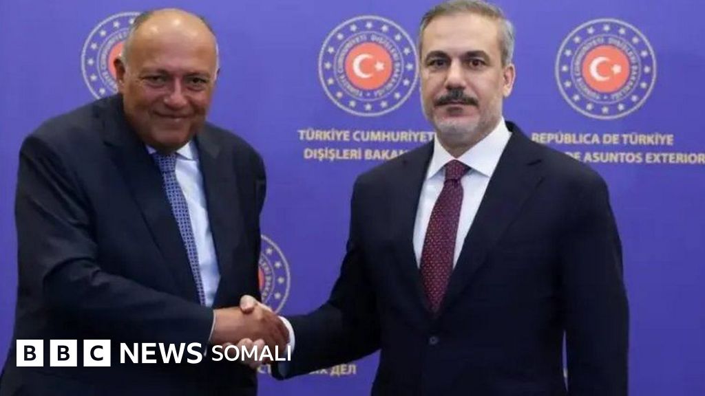 Turkiga iyo Masar oo ka wada hadlay xalka xiisadda Soomaaliya iyo ...