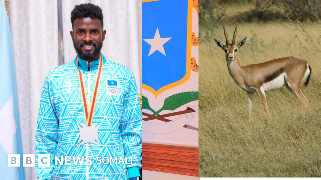 Cabdullaahi Jaamac: Wax ka ogow nolosha wiilka awoowihii orodka ku ...