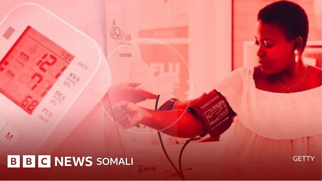 Sida loo xakameeyo khatarta dhiig karka? - BBC News Somali