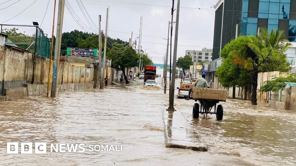 Xal ma loo heli karaa dhibaatada reer Muqdisho soo foodsaarta xilliyada ...