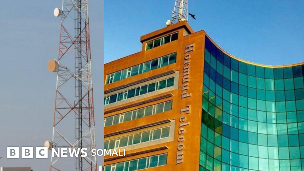 Tirada shaqaalaha ay shirkadda Hormuud ku waysay qaraxyo iyo dilal ...