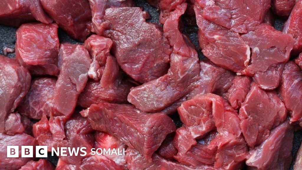 Maqaarkaaga iyo wadnaha muxuu ka badali karaa hilibka cas? - BBC News ...