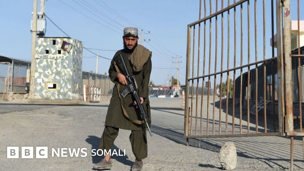 “Taliban waxay damceen inay calankooda suraan gudaha Iiraan” - BBC News ...