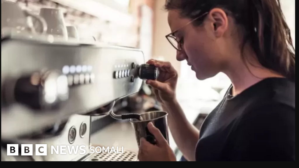 C﻿anada: Waxaan u baahannahay 1.4 milyan oo qof oo xirfadahan leh - BBC ...