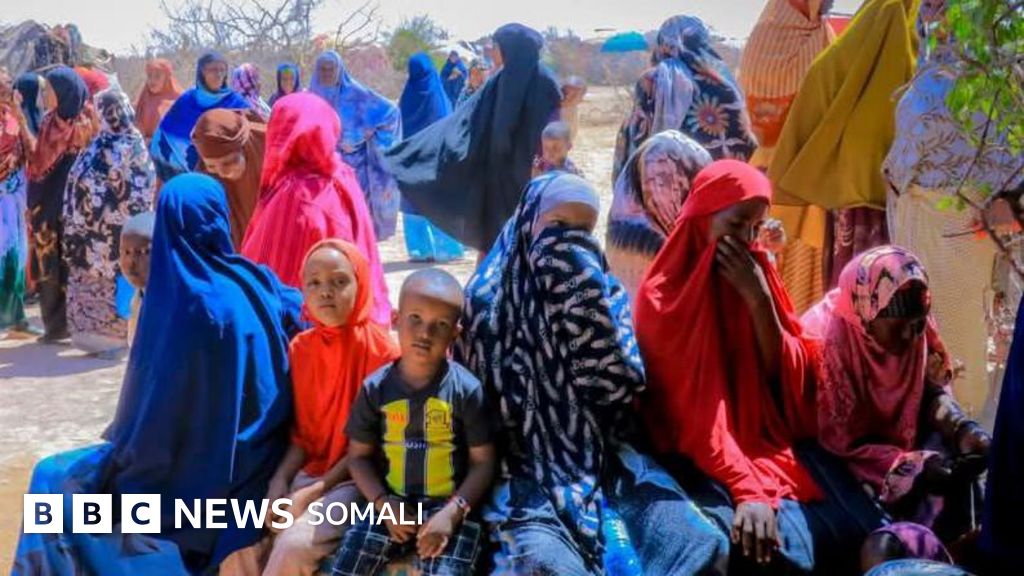 Somaliland: Maxaa sababay in kumanaan barakacayaal ah lagu celinayo ...