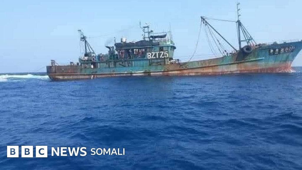 Maxaan ka ognahay xaaladda markabka kalluumaysiga ee burcad badeeddu ku ...