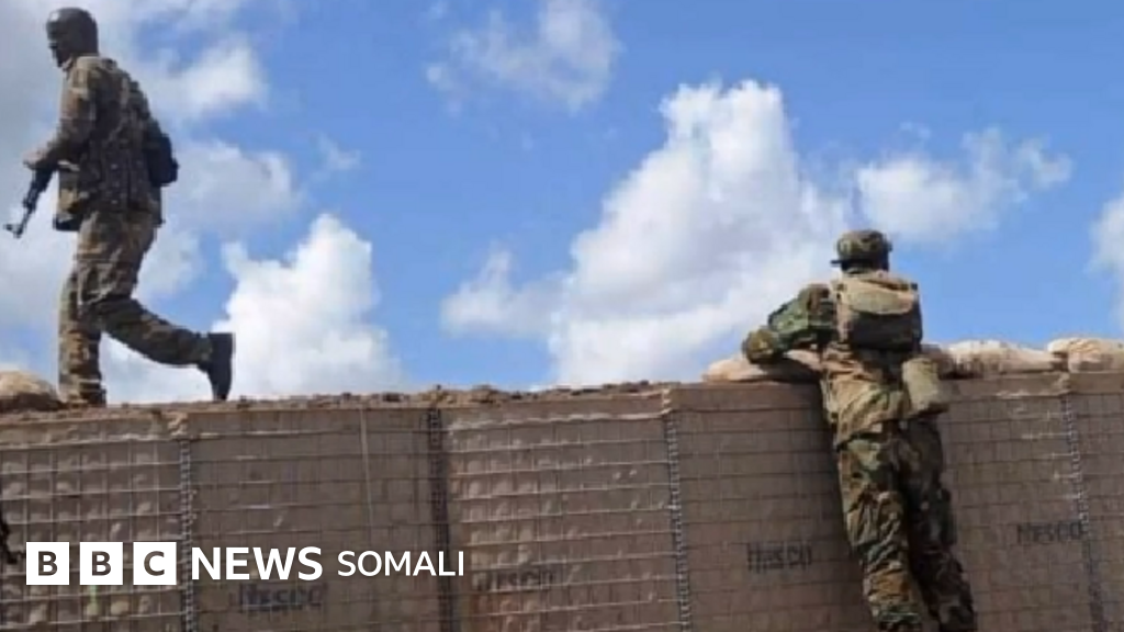 Maxaan ka ognahay Xerada Goojacadde? - BBC News Somali