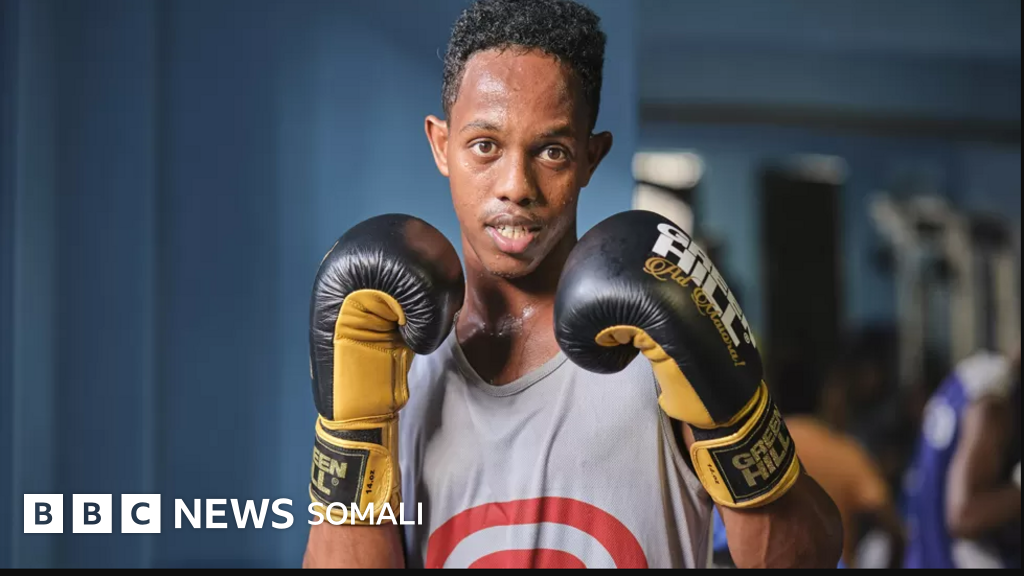 Feeryahanno da'yar ah oo u soo kacaya Soomaaliya - BBC News Somali