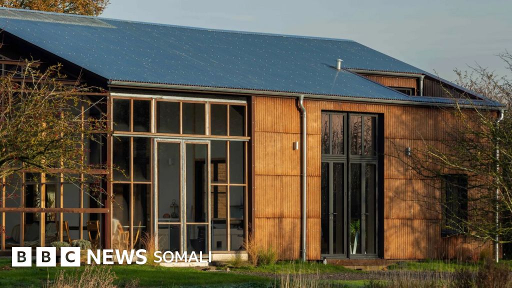 Geedka Xashiishka oo laga sameynayo dhismeyaal "waara" - BBC News Somali