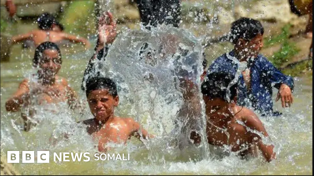 Sidee ayaad uga badbaadi kartaa kulaylka ba'an iyadoo hadda dalal ay ...