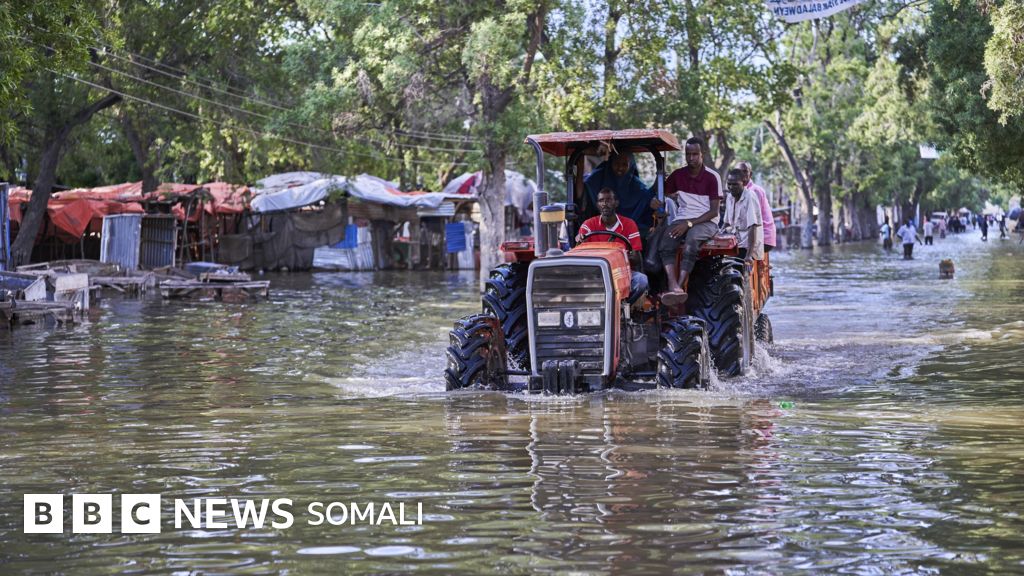 Daadadka Baledweyn: Sida cagaftu cago ugu noqotay Baladweyne - BBC News ...