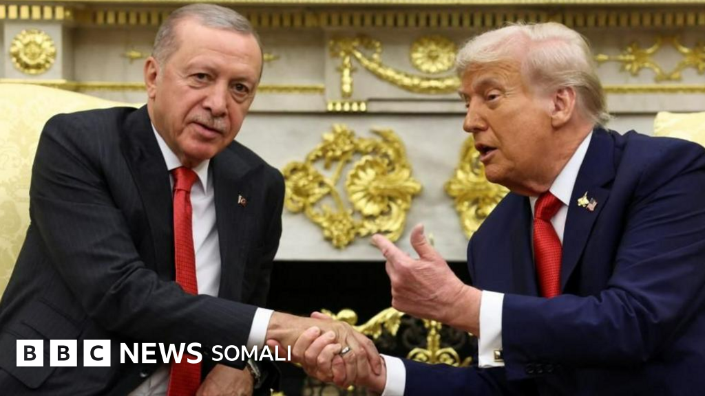 Trump oo ku booriyay Turkiga inay joojiyaan iibshashada saliida Ruushka ...