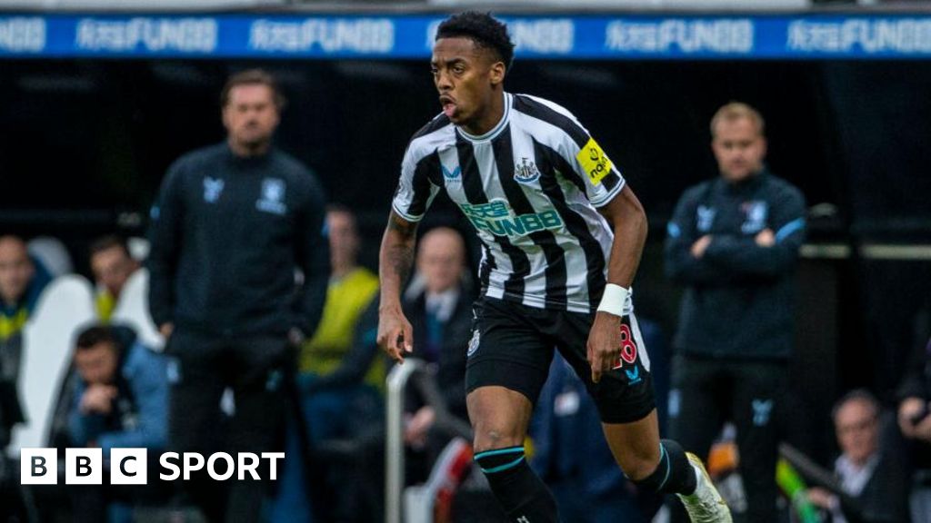 Newcastle United: Joe Willock wins Player of the Month award - BBC Sport