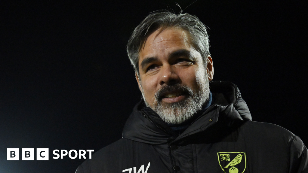 Norwich City opinion: Time for Wagner to 'Never Mind the Danger' - BBC ...