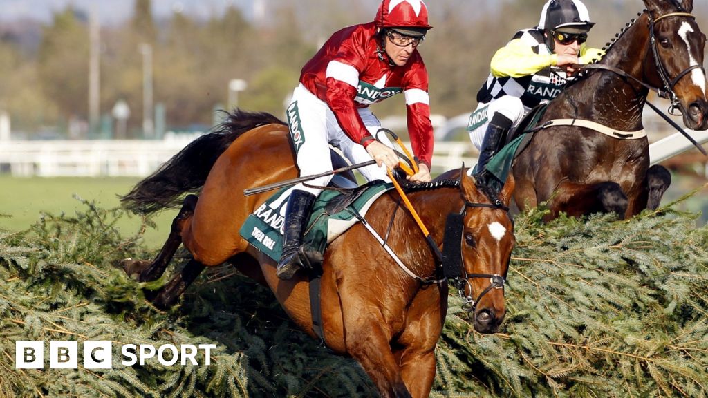 Grand National 2019: Cornelius Lysaght's ones to watch in Aintree ...