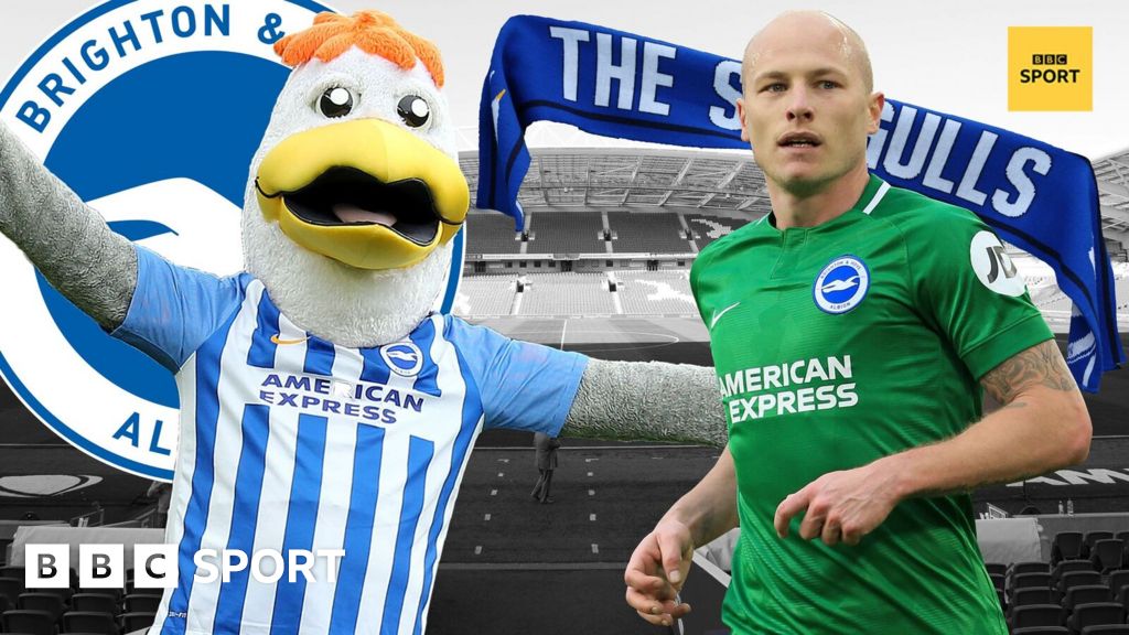 Brighton quiz: Are you the ultimate Brighton fan? - BBC Sport