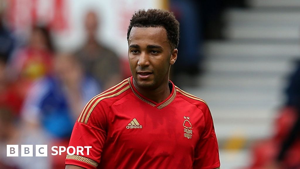 Nicky Maynard: MK Dons sign former Cardiff City striker - BBC Sport