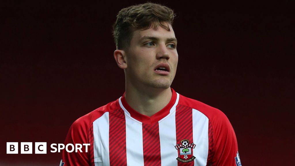 Sam Gallagher: Southampton striker joins MK Dons on loan - BBC Sport