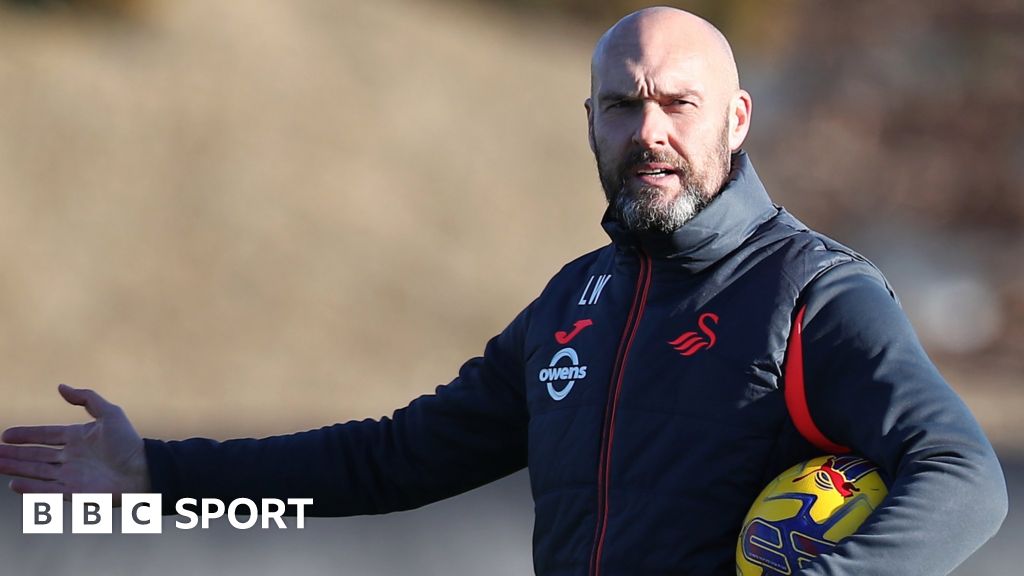 Luke Williams: Swansea City in 'frenzy' to strengthen in January window ...