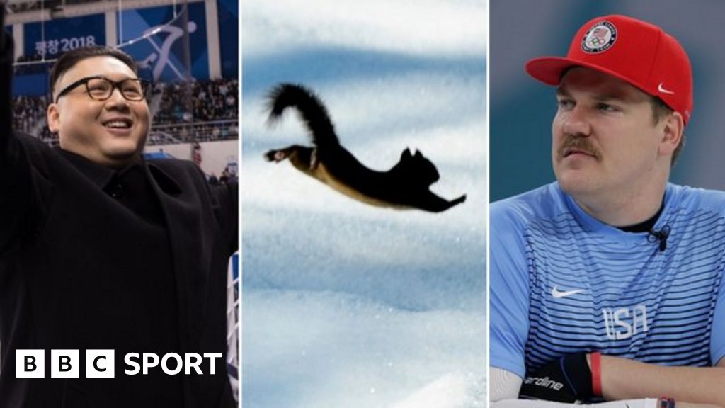 Winter Olympics: Nine unlikely stars of Pyeongchang 2018 - BBC Sport