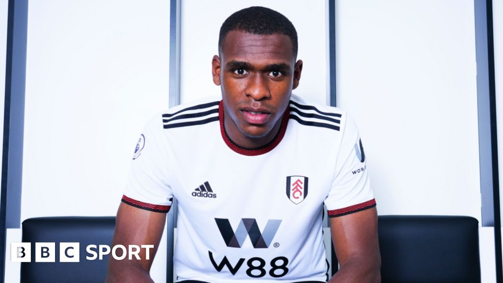 Issa Diop: Fulham complete £15m deal for West Ham defender - BBC Sport