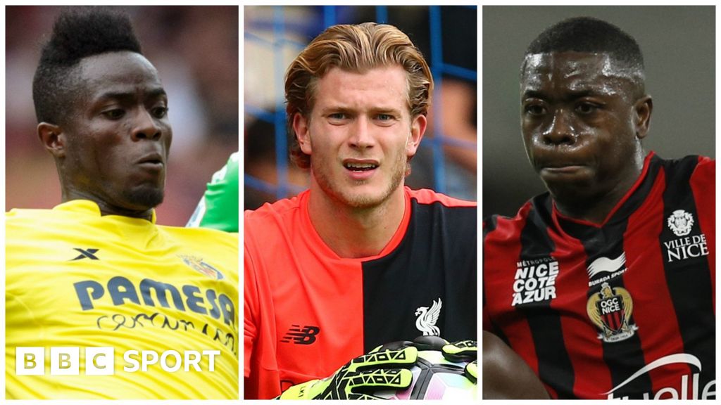 Premier League transfers: Lowdown on summer signings - BBC Sport