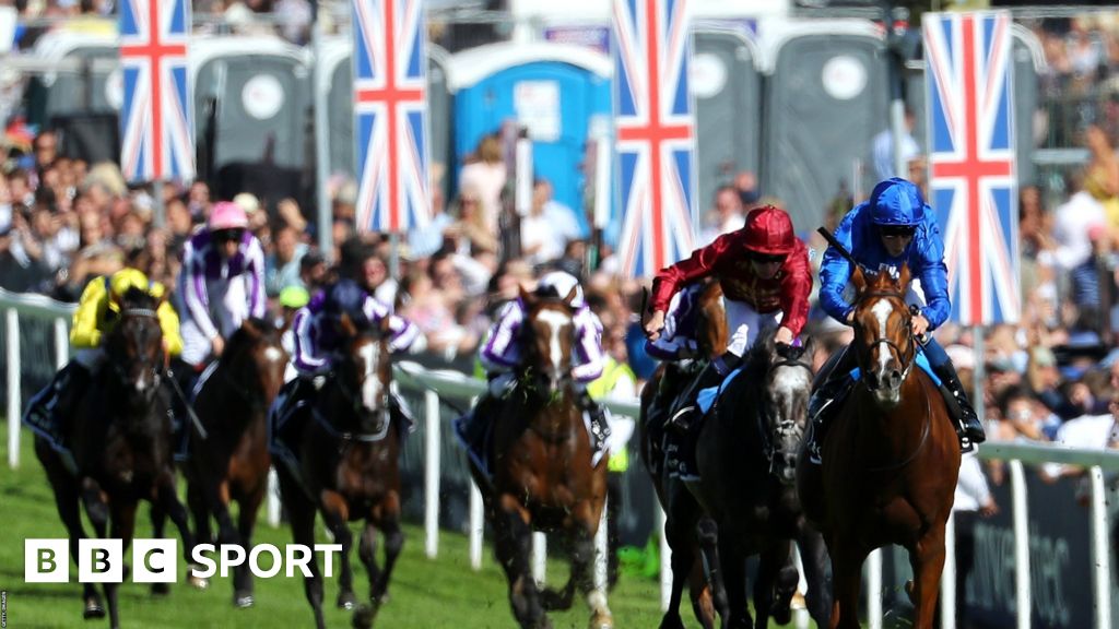 The Series: New team competition delayed until 2020 - BBC Sport