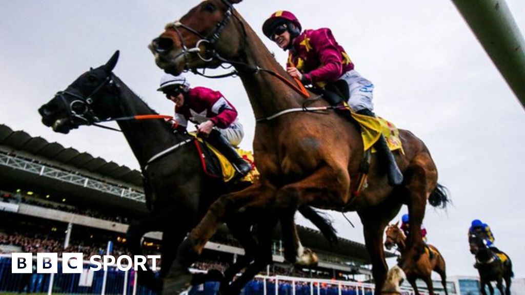 Delta Work pips Monalee to win Savills Chase at Leopardstown - BBC Sport