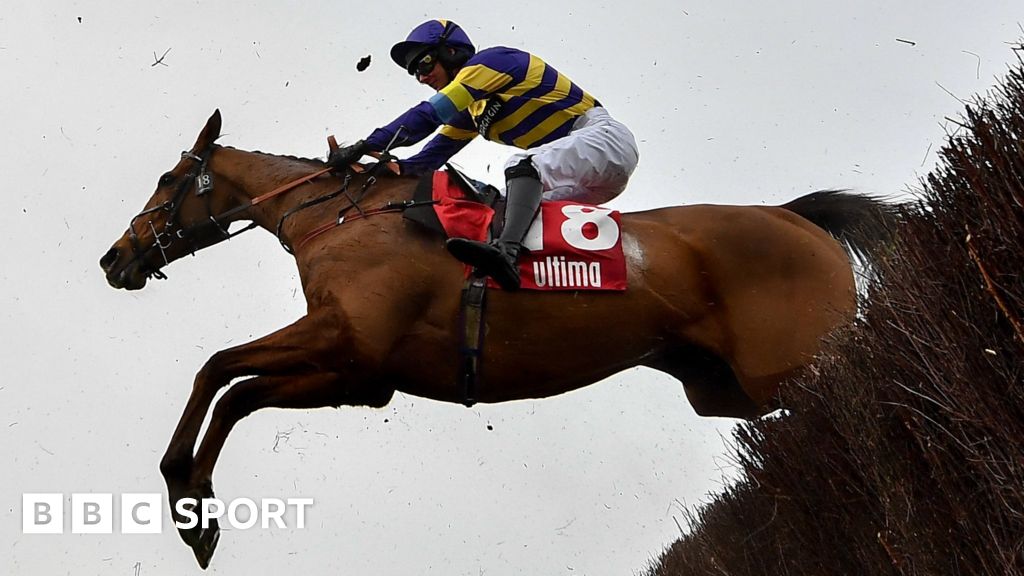 Lucinda Russell-trained Corach Rambler wins at Cheltenham Festival ...
