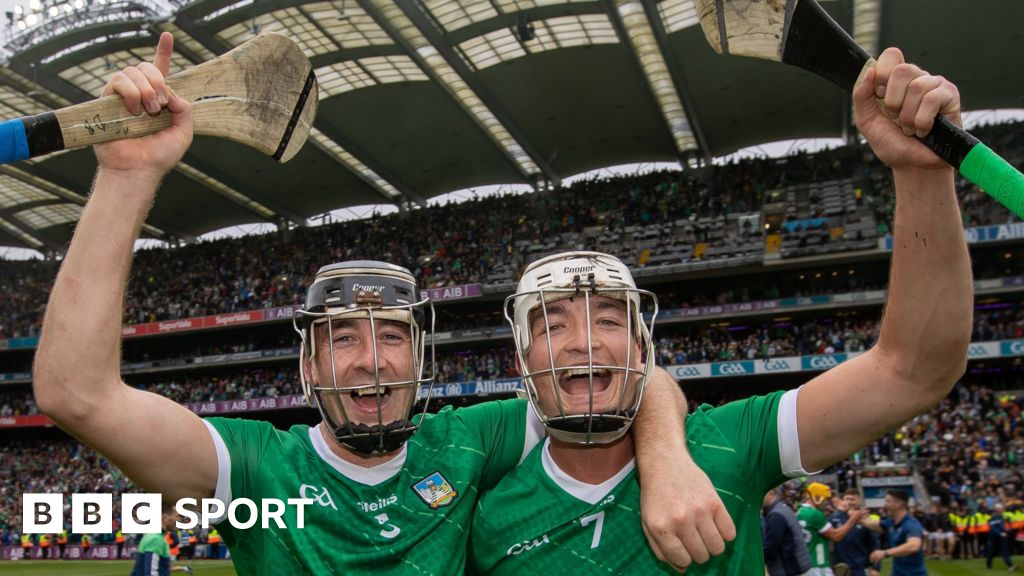 Hurling All-Stars: Four-in-a-row Limerick earn seven awards to match ...