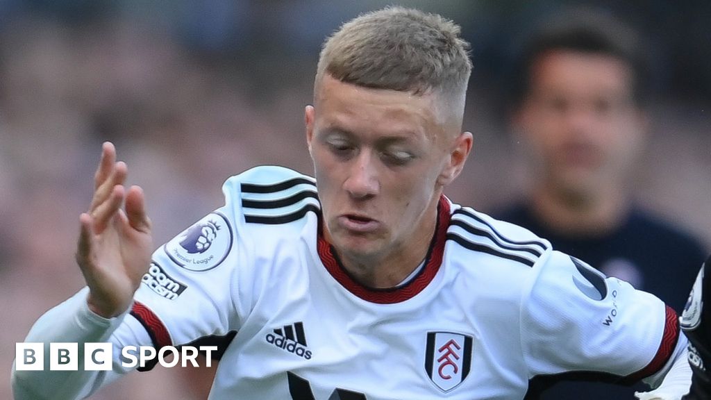 Fulham striker Jay Stansfield joins Exeter City on loan - BBC Sport