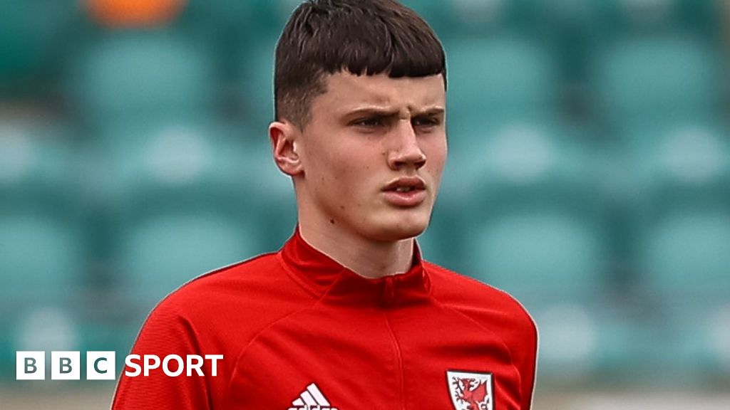 Joel Cotterill: Swansea City midfielder joins Stockport on season-long ...