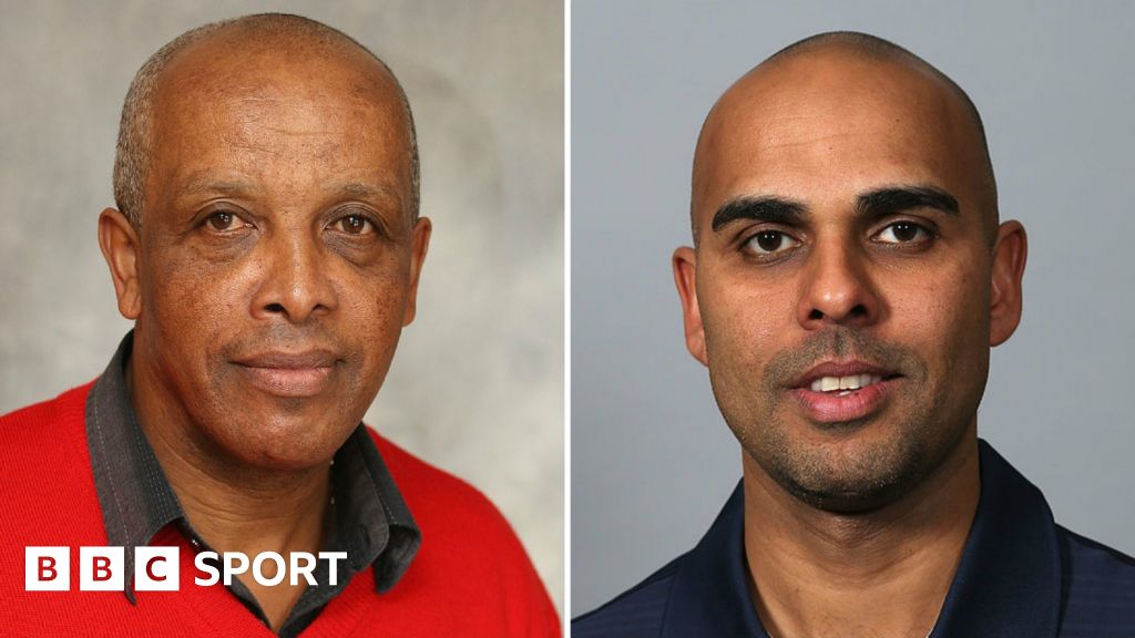 John Holder & Ismail Dawood: Umpires withdraw ECB employment claim ...