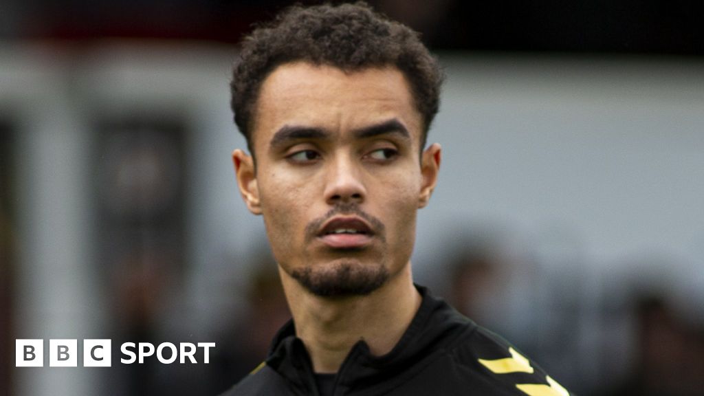 Cymru Premier: New Saints signings 'good for league', says Anthony ...