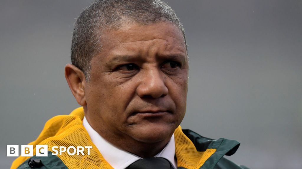 Allister Coetzee leaves post as Springboks coach - BBC Sport