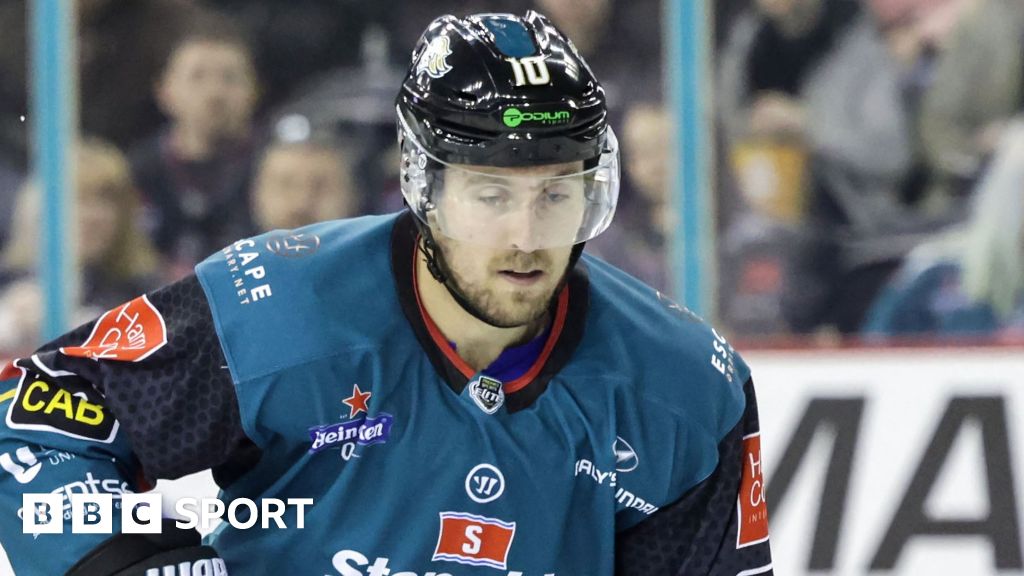 Elite League: Belfast Giants fall short against the Nottingham Panthers ...