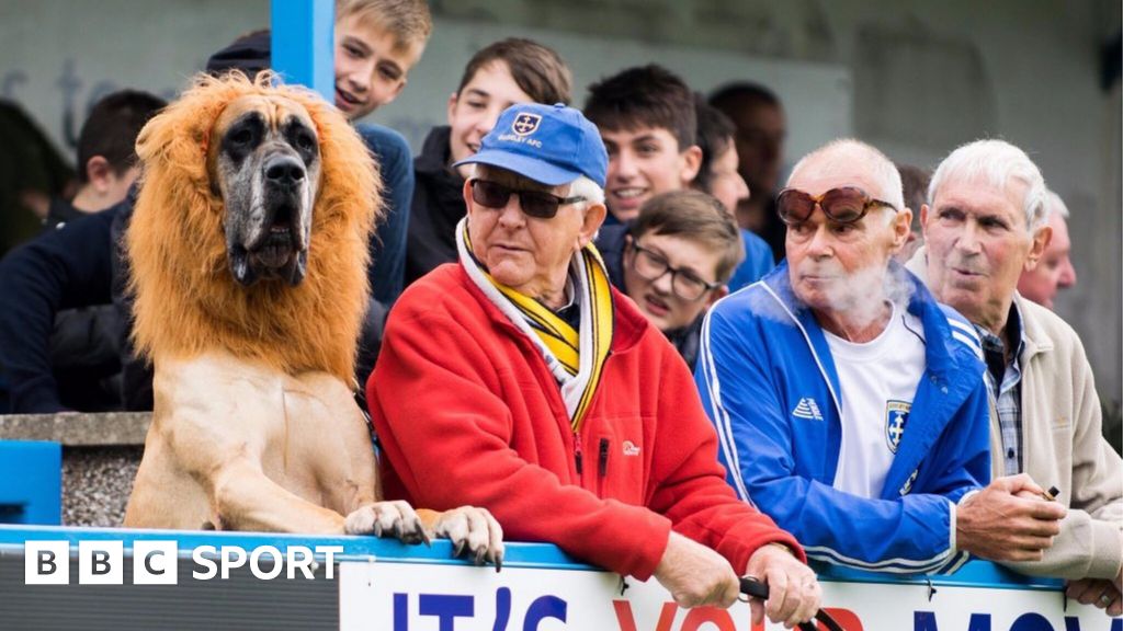 Non-League Day: Football uniting communities to man's best friend - BBC ...