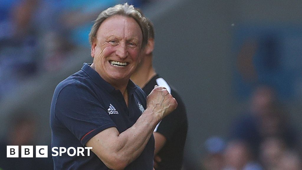 Cardiff City boss Neil Warnock seeking 'missing piece' striker - BBC Sport