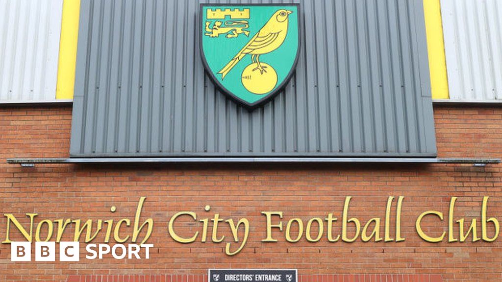 Norwich City: Transfer dealings result in £23.6m pre-tax loss, but ...