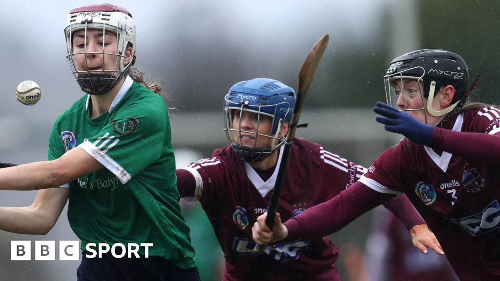 All-Ireland Club Camogie Championship: Sarsfields secure semi-final ...