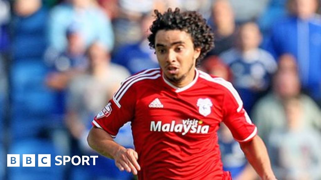 Fabio: Brazilian defender poised for Cardiff City comeback - BBC Sport