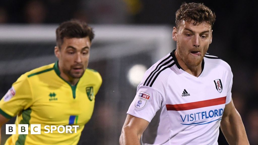 Fulham 2-2 Norwich City - BBC Sport