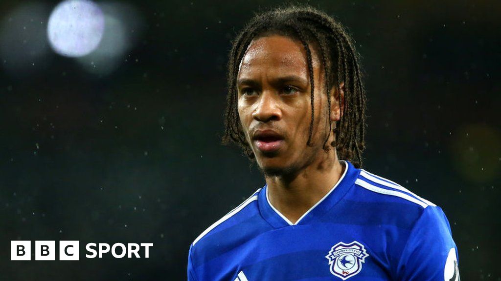 Bobby Reid: Striker wanted deadline-day move to Fulham from Cardiff ...
