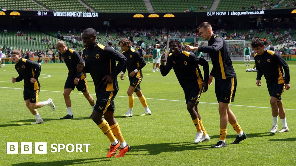 Wolves: Assessing Gary O'Neil's squad - BBC Sport