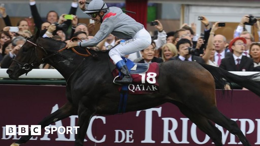 Treve: Trainer and song behind Prix de l'Arc de Triomphe favourite ...