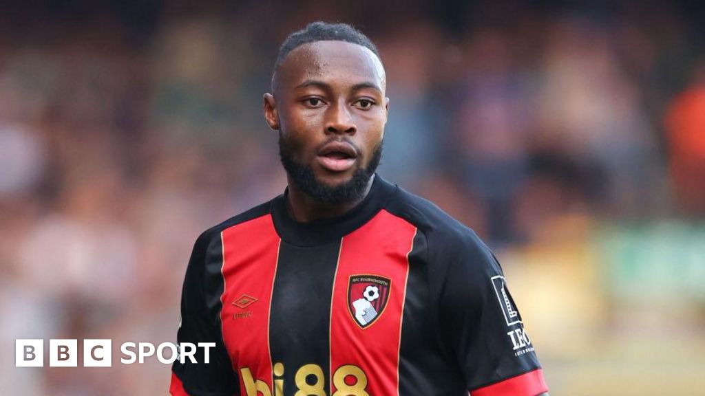 Bournemouth: Which Premier League player has been a surprise package ...