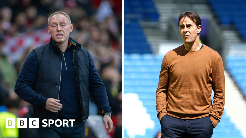 Phil McNulty Q&A: Which manager deserves a shot at Crystal Palace ...